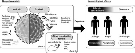 The Composition Of The Pollen Matrix Influencing The Sensitizing