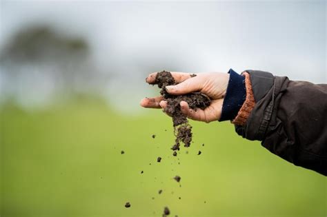 Premium Photo Women In Agriculture Working On A Ranch In America Soil Scientist Feeling A Soil
