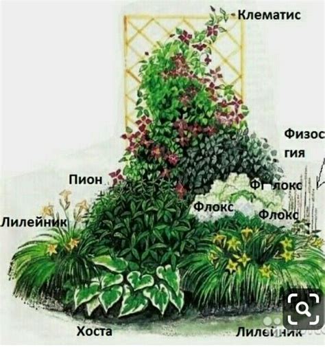 Пин на доске Сад огород Идеи посадки растений Идеи озеленения Дизайн цветочного сада