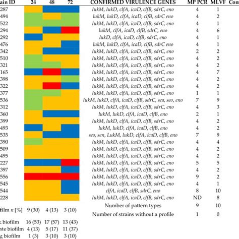 Biofilm Production Capacity Of Staphylococcus Aureus N 28 From Download Scientific Diagram