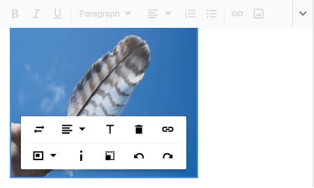 Vue Rich Text Editor WYSIWYG Markdown Editor Syncfusion