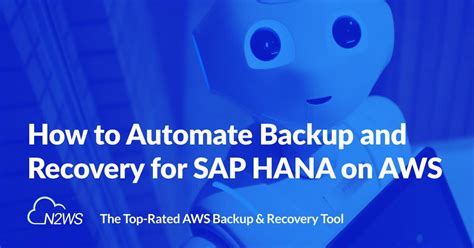How To Backup And Recover Sap Hana Data On Aws N2w Software