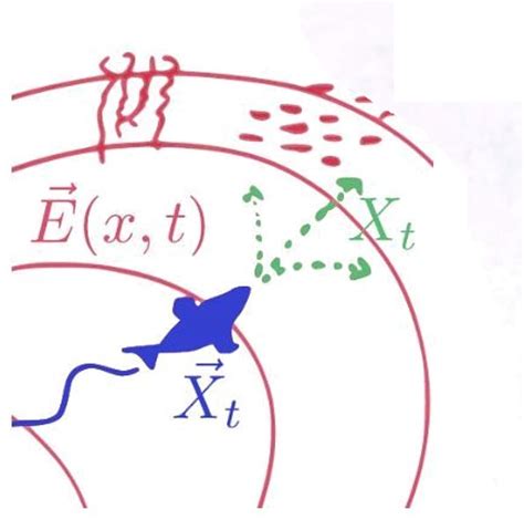 techniques and concepts in movement ecology