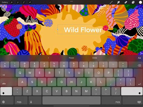 Interface And Basics Procreate Handbook