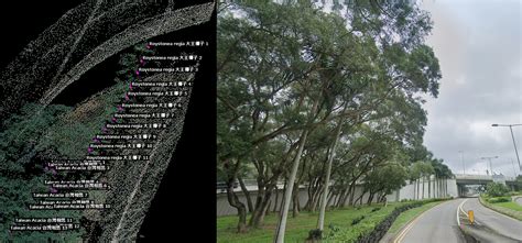Data Fusion Of Pano Image And Lidar For Tree Species Identification By Yu Kai Him Otto