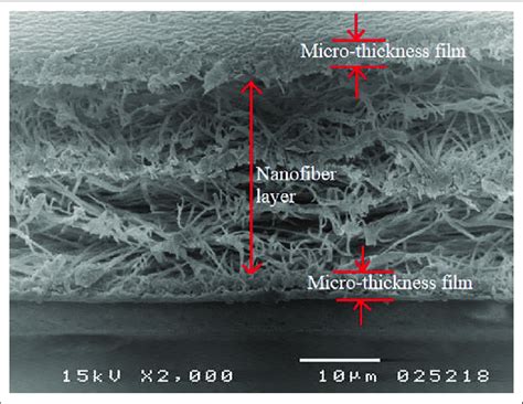 Sem Micrograph Of The Nanofiber Composite Crosssection Download Scientific Diagram