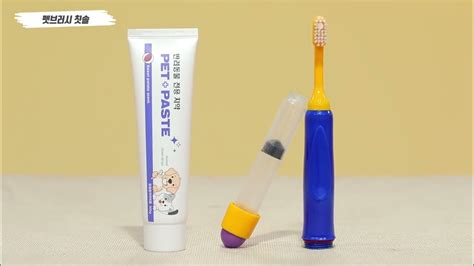 펫브러시칫솔 Youtube