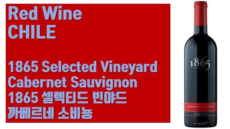 칠레 레드 와인 1865 셀렉티드 빈야드 까베르네 소비뇽 1865 Selected Vineyard Cabernet