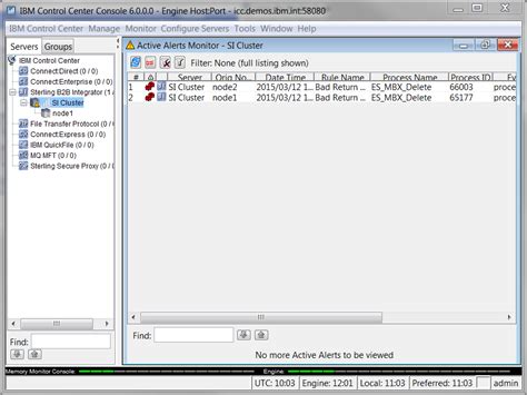 Connect Ibm Control Center To A Sterling B2b Integrator Cluster Erlends Blog