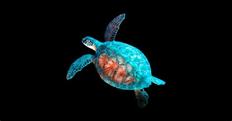 Beautiful Turtle Cute Snapping Turtle Sticker Teepublic