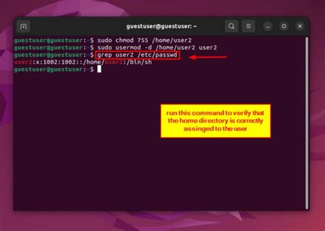 How To Create Home Directory For User Linux 10 Easy Steps