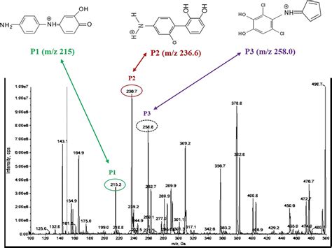 The Uplc Ms Ms Chromatograms And The Proposed Reaction Products Based Download Scientific