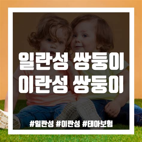 일란성 이란성 쌍둥이 차이점과 태아보험 준비방법을 알려드립니다 네이버 블로그