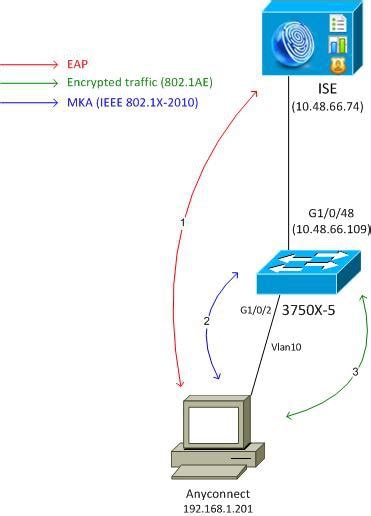 Macsec Switch Host Encryption With Cisco Anyconnect And Ise