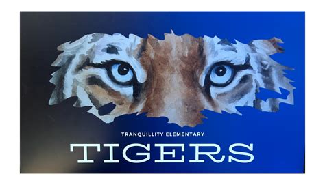 Improving Problem Solving Through Reflection The Core Collaborative