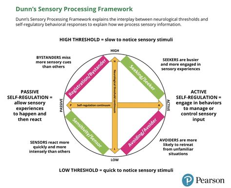 Dunns Sensory Processing Framework Sensory Processing Sensory Self