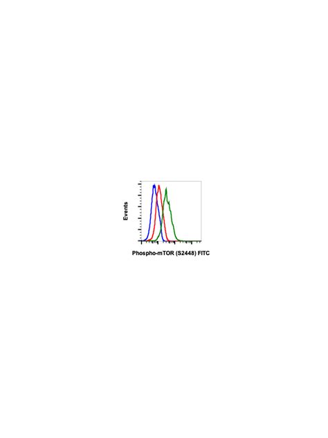 Phospho Mtor Ser2448 E11 Rabbit Mab Fitc Conjugate Abwiz Bio