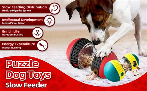 Zyjxly Juguetes Interactivos Para Perrosjuguetes Educativos Duraderos
