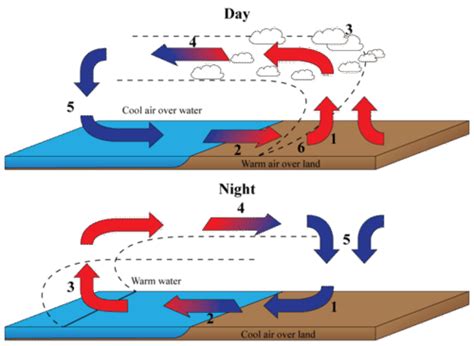 Convection Read Physics CK 12 Foundation