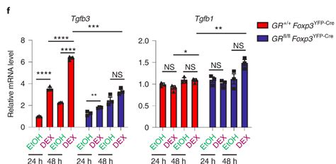 Immune Cells And Stem Cells Bio Journal Club