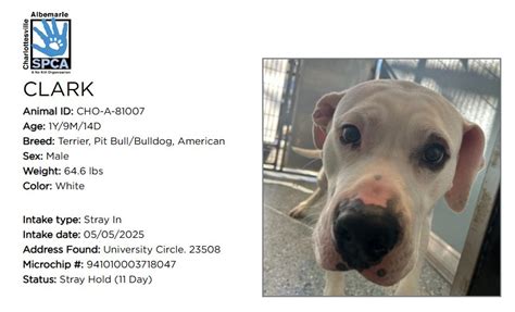 Charlottesville Albemarle Charlottesville Albemarle Spca