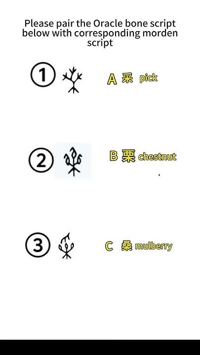 Oracle Bone Script And Morden Script For Chinese Characters Chineseculture 甲骨文 Chinese