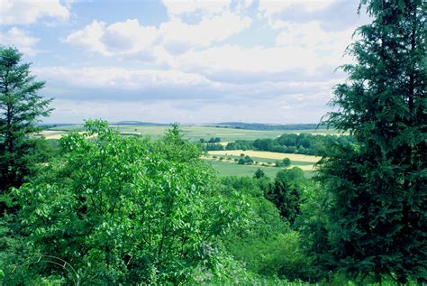무료 이미지 경치 나무 숲 잔디 산 하늘 하이킹 농장 목초지 언덕 꽃 여름 녹색 밀림 목장 휴식 정원 구름 초목 관목 넓은 삼림지