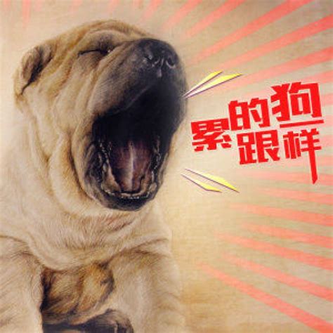 累得像狗一样图片说说 累成狗的说说图片 伤感说说吧
