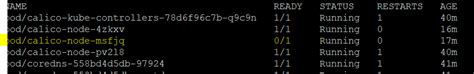 Using Calico Network Pods Scheduled On Different Node Cannot Communicate With Each Other On