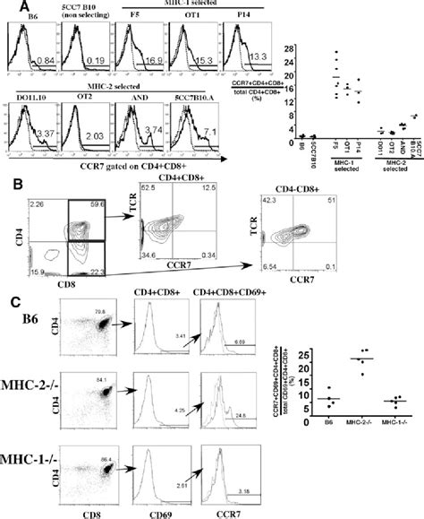 Figure 1 From Ccr7 Expression In Developing Thymocytes Is Linked To The Cd4 Versus Cd8 Lineage