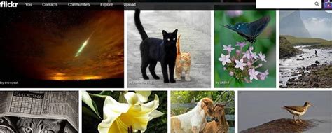User Interface Design Adaptation The Encyclopedia Of Human Computer Interaction 2nd Ed