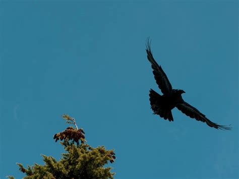 Projects ~ Mawja Group شركة الموجة