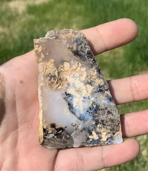 Polished Dendrite Agate From Indonesia Slab Slice Mandm Fossils