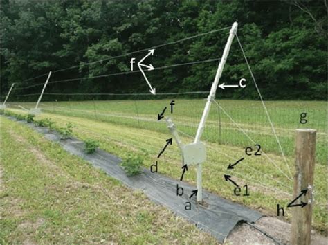 Raspberry Trellis Systems Raspberry Trellis System Tunneltech Ca