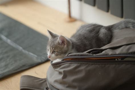 haskell jonathan edgecombe flickr