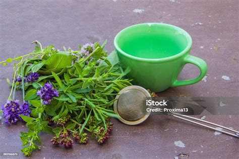 향기로운 지중해 허브 민트 레몬 밤 오 레가 노 라벤더 허브 차를 양조에 대 한 백 리 향 0명에 대한 스톡 사진 및 기타 이미지 Istock