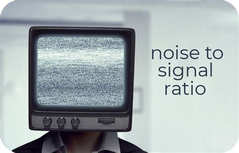 Noise To Signal Ratio The Marriage Bed