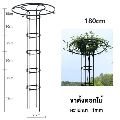 【สิ่งประดิษฐ์สวน】พร้อมส่งในไทย ซุ้มกุหลาบ ซุ้มไม้เลื้อย 180cm 210cm โครงปีนดอกไม้ที่สูงมาก Pe