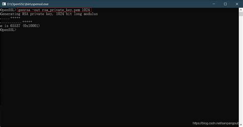 Windows平台使用openssl工具生成rsa公私钥（pkcs1 格式）and Pkcs1 格式 转换为 Pkcs8 格式windows生产