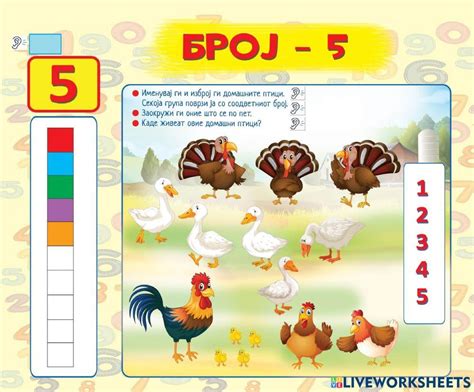 Број 5 Во соработка со Росица Worksheet Live Worksheets