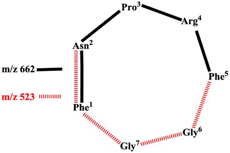 Esi Ms Ms Fragment Analysis Of 1 Download Scientific Diagram