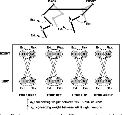 figure 1 from running control of quadruped robot based on the global