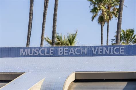 The Muscle Beach Venice Sign On Top Of The Building With Lush Green