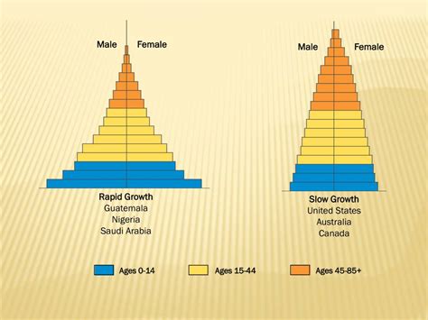 Ppt 313 Age Sex Pyramids Powerpoint Presentation Free Download