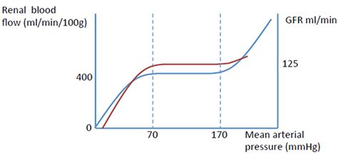 Renal Physiology Part 1 Virtual Library
