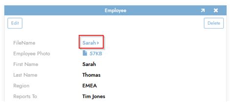 Display File Name Along With Download Link In Jitterbit App Builder