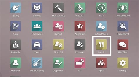 How Does The Odoo Lunch Module Work
