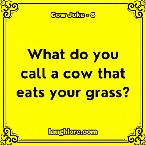 101 Cow Jokes