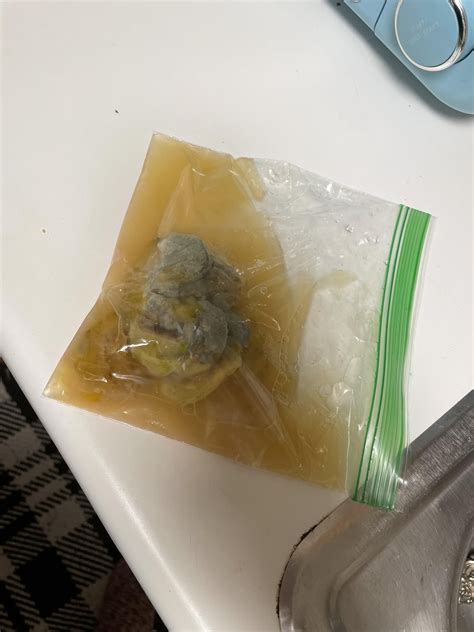 Found My Missing Bag Of Cucumber Rmoldlyinteresting