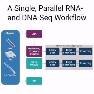 Optimized For Low Input RNA From FFPE Samples Agilent